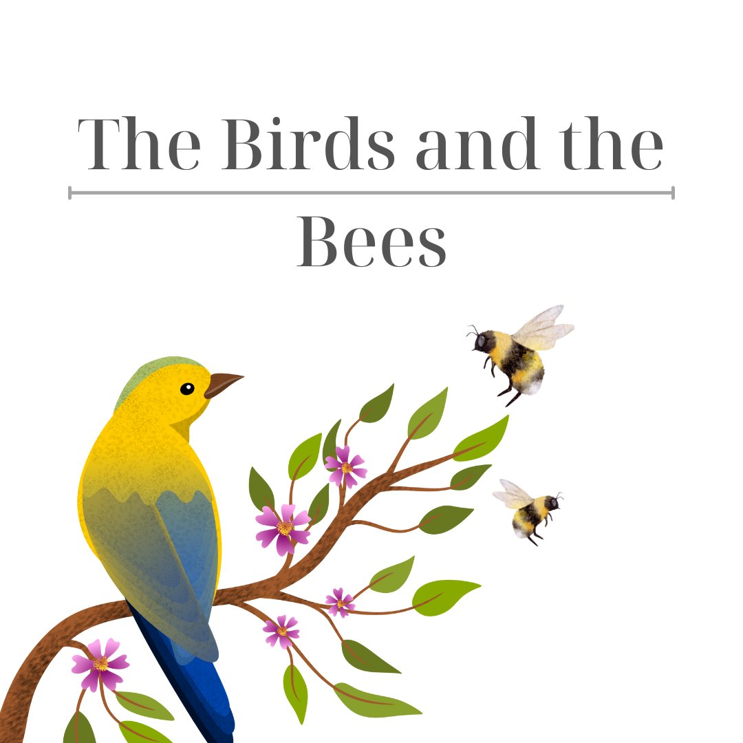 The Birds and the Bees – Cool Hand Nukes